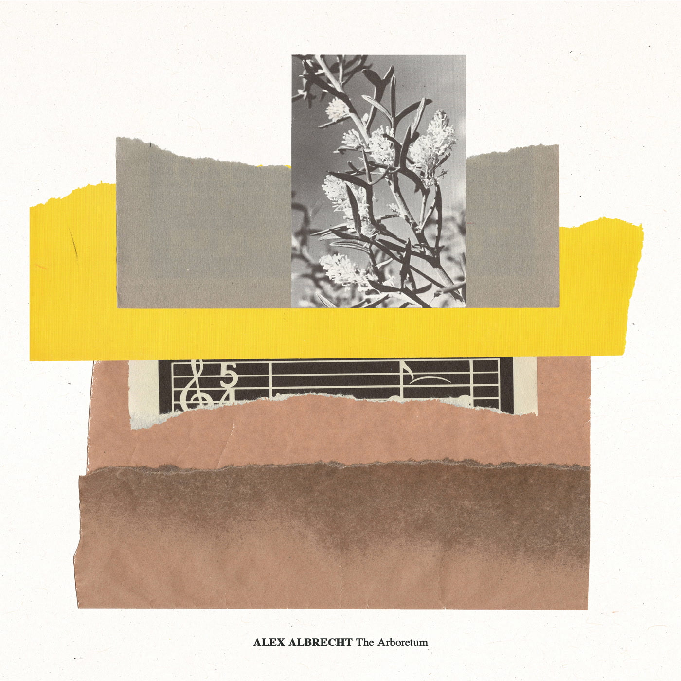 Alex Albrecht | The Arboretum – vinylunderground.co.uk